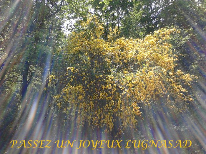 Lugnasad - Lughnasadh - Lammas - Samuel DESHOUX / CIEL-ETHER